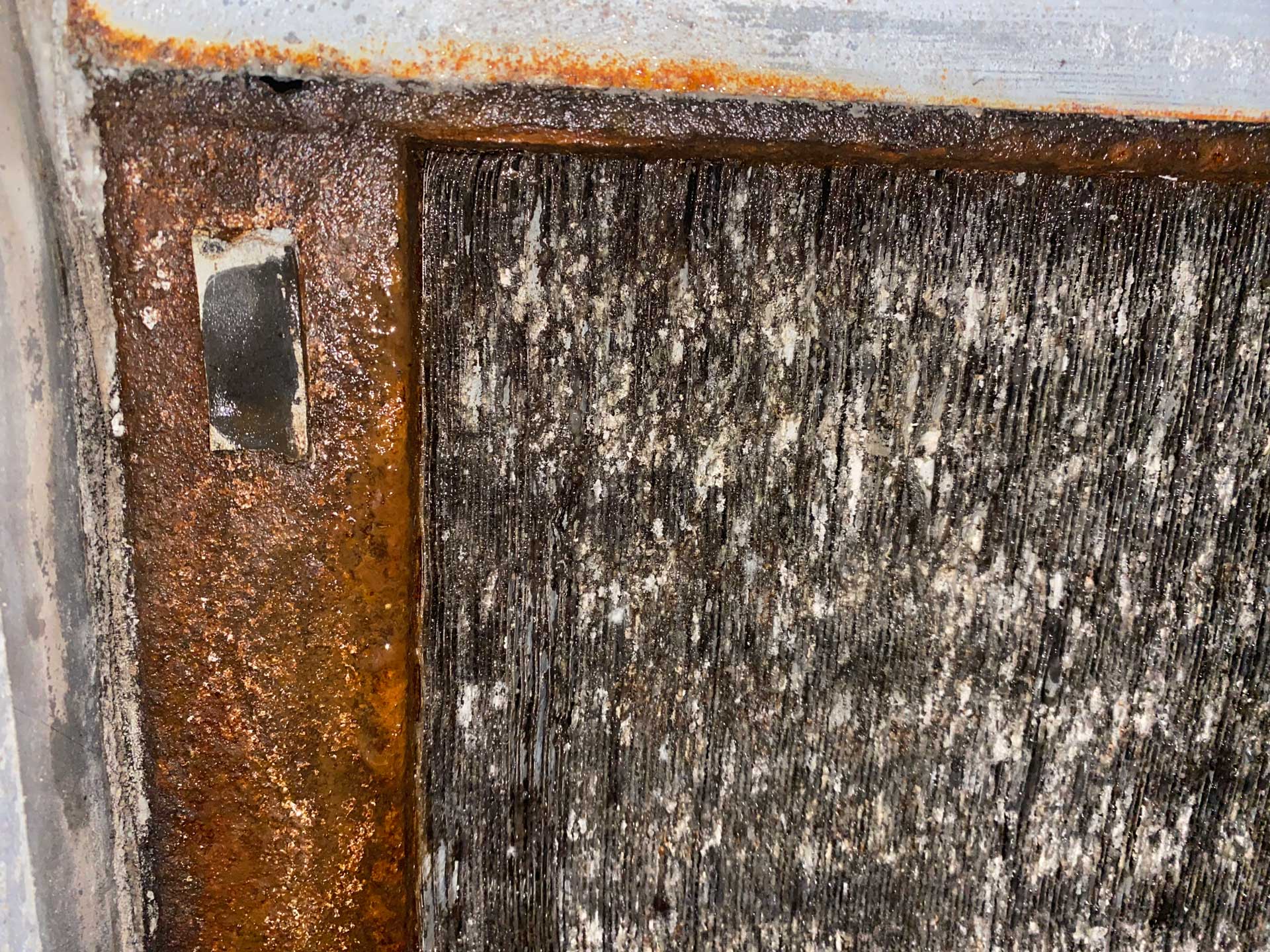 The Musty Building Mystery: How Blue Box Solves the Hidden HVAC Problem ...